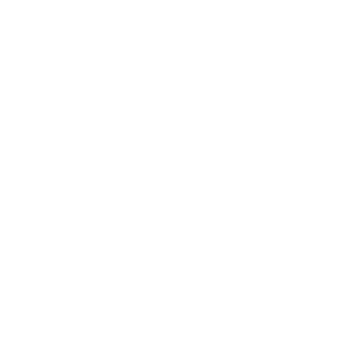 ROI Driven Local Digital Marketing | Terrayn, Co.